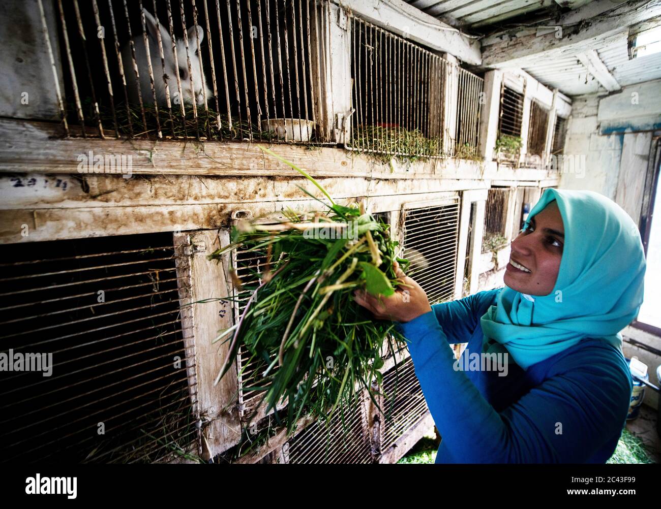 Woman with rabbits hi-res stock photography and images - Alamy