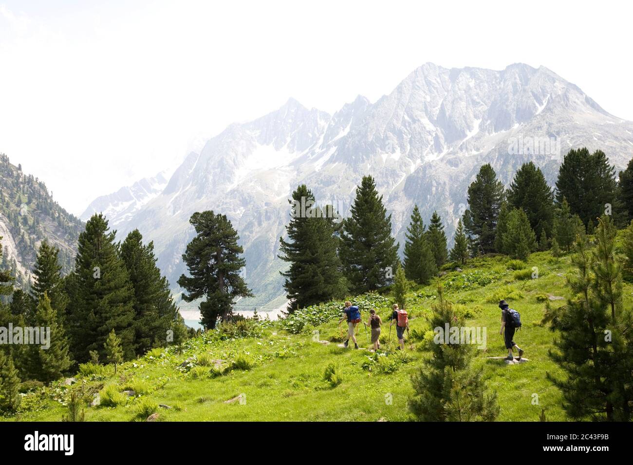 Hikers in the Alps, Austria Stock Photo - Alamy