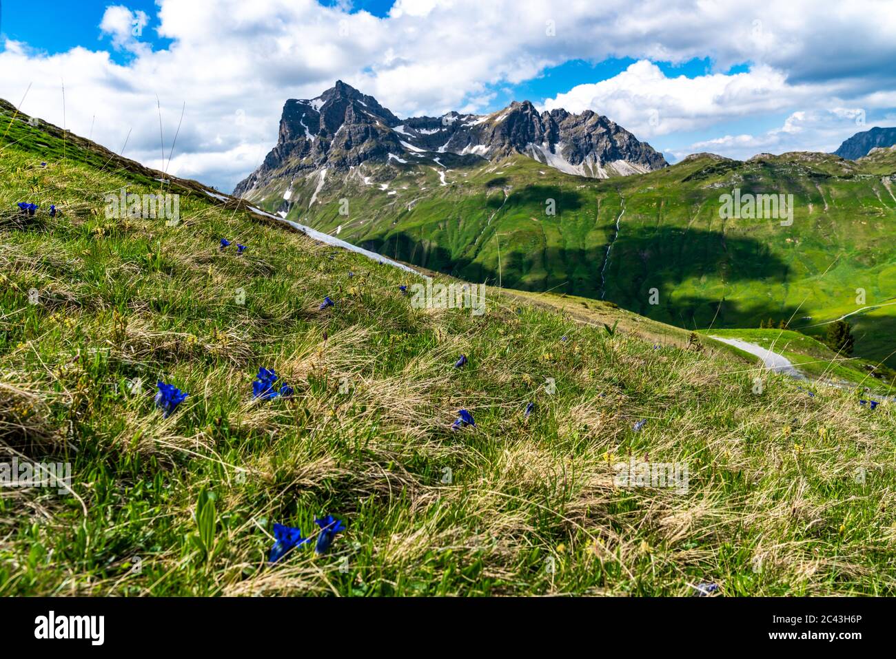 Bergpanorama hi-res stock photography and images - Alamy