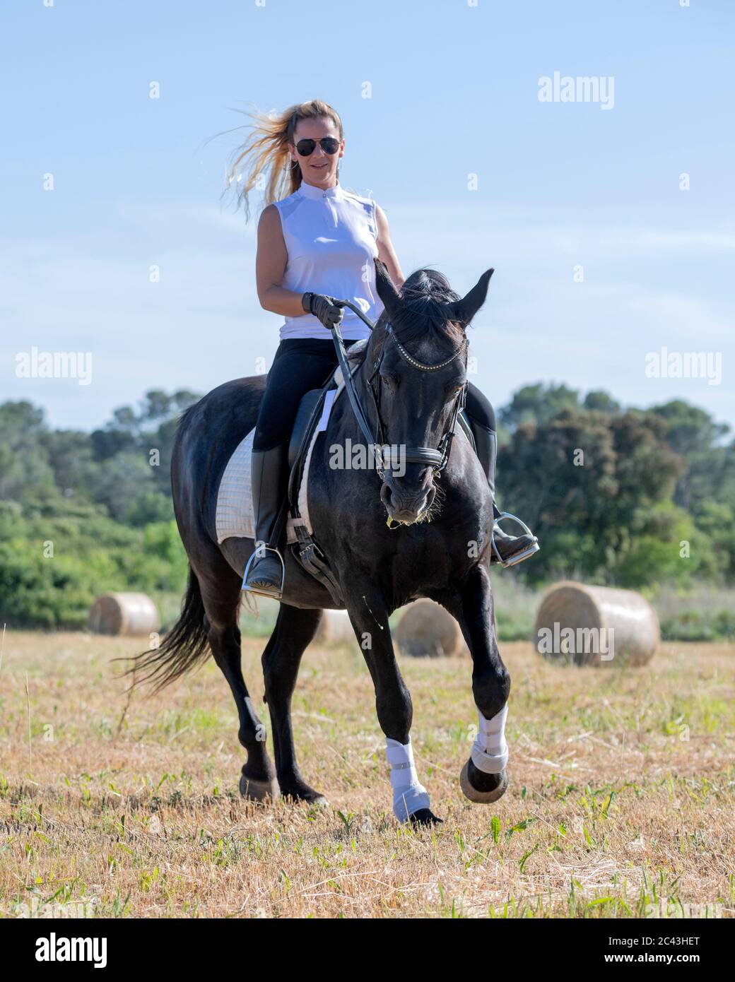 riding girl are training her black horse Stock Photo - Alamy
