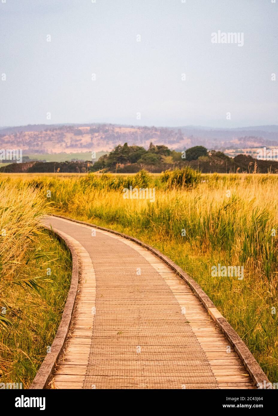Curved path in marshlands surrounded by reeds and bushes and mountains ...