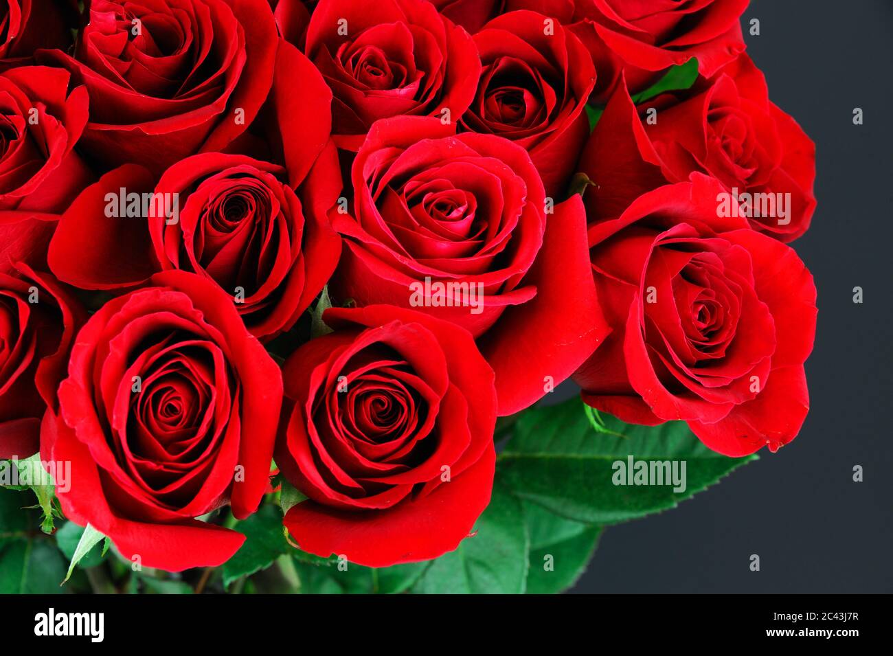 Fresh red roses bouquet flower background Stock Photo - Alamy