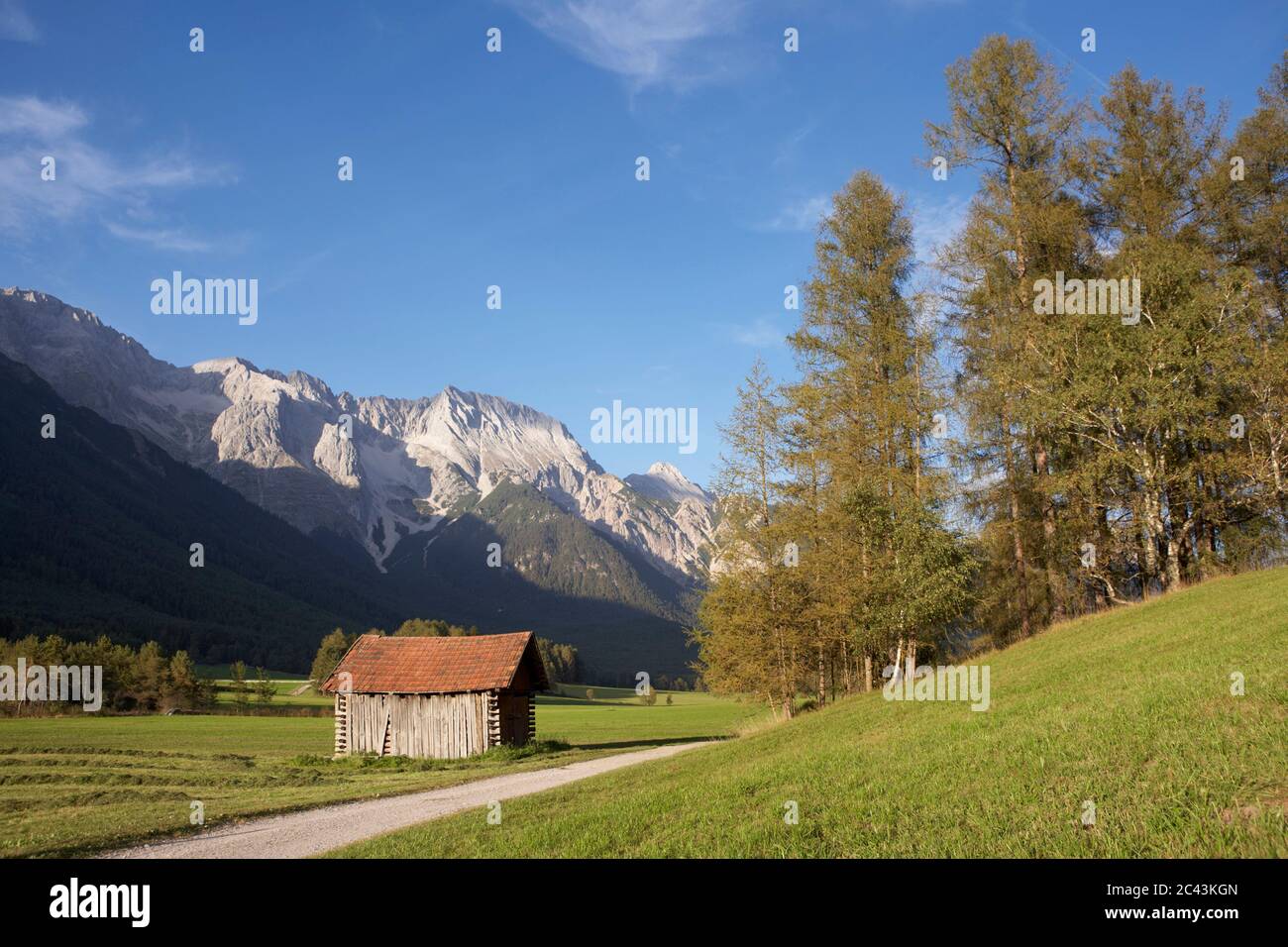 Barn and trees in front of mountain panorama, Austria Stock Photo - Alamy