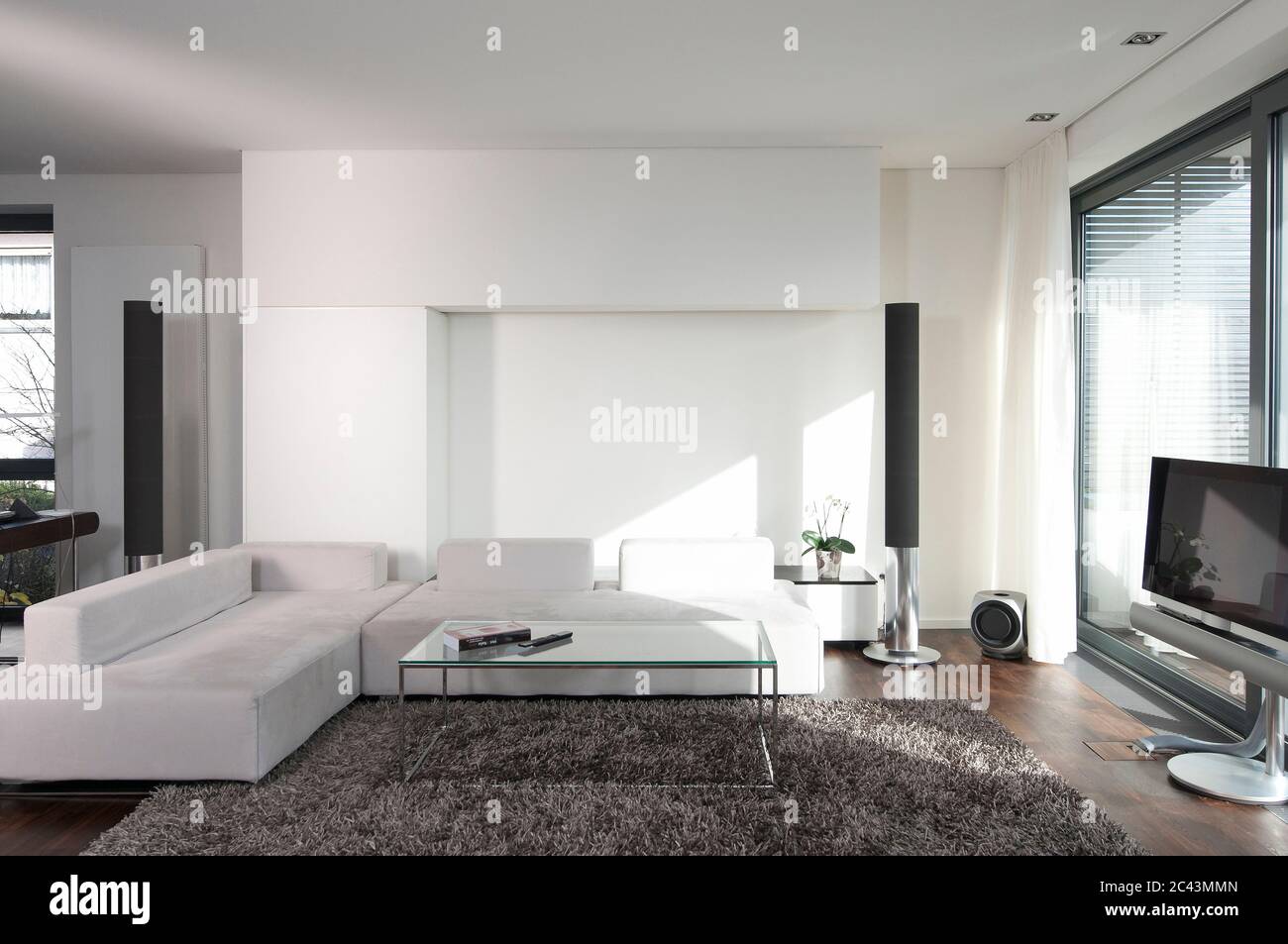 Modern living room with wooden floor, carpet and flat screen TV Stock ...
