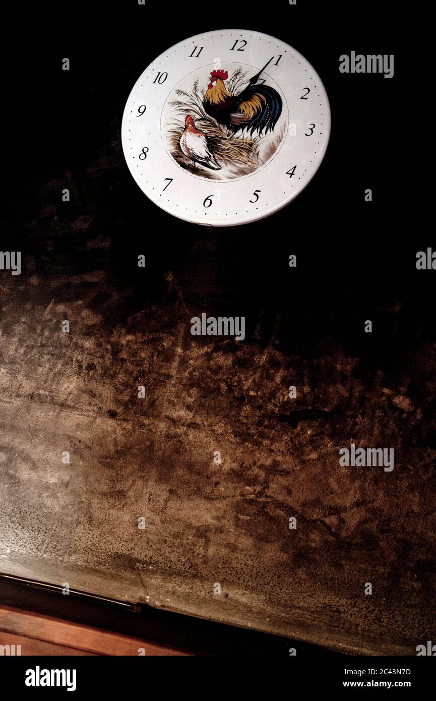 Rooster faces hi-res stock photography and images - Alamy