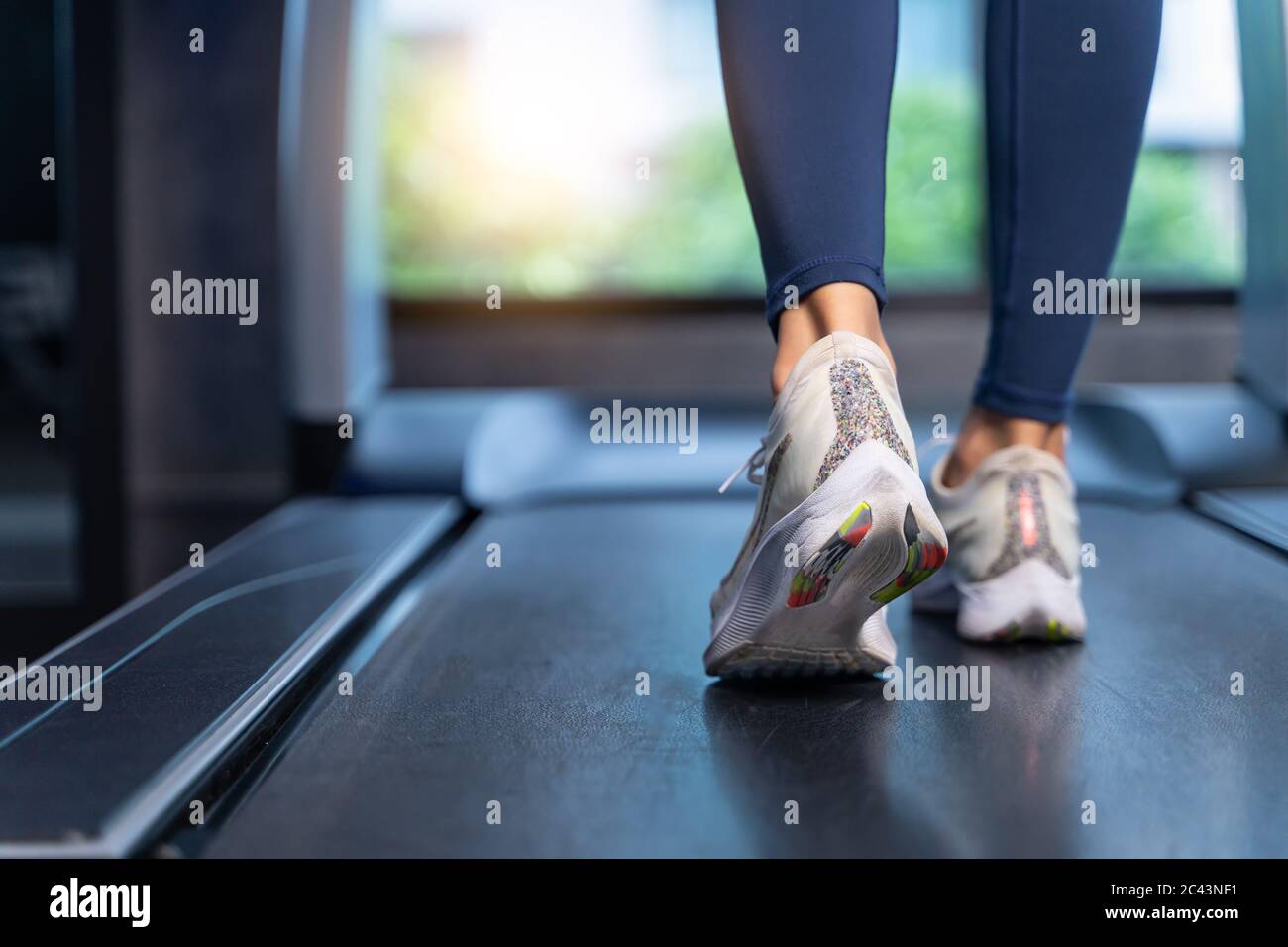 Close-up Women's feet are running on a treadmill at the gym. Women are ...
