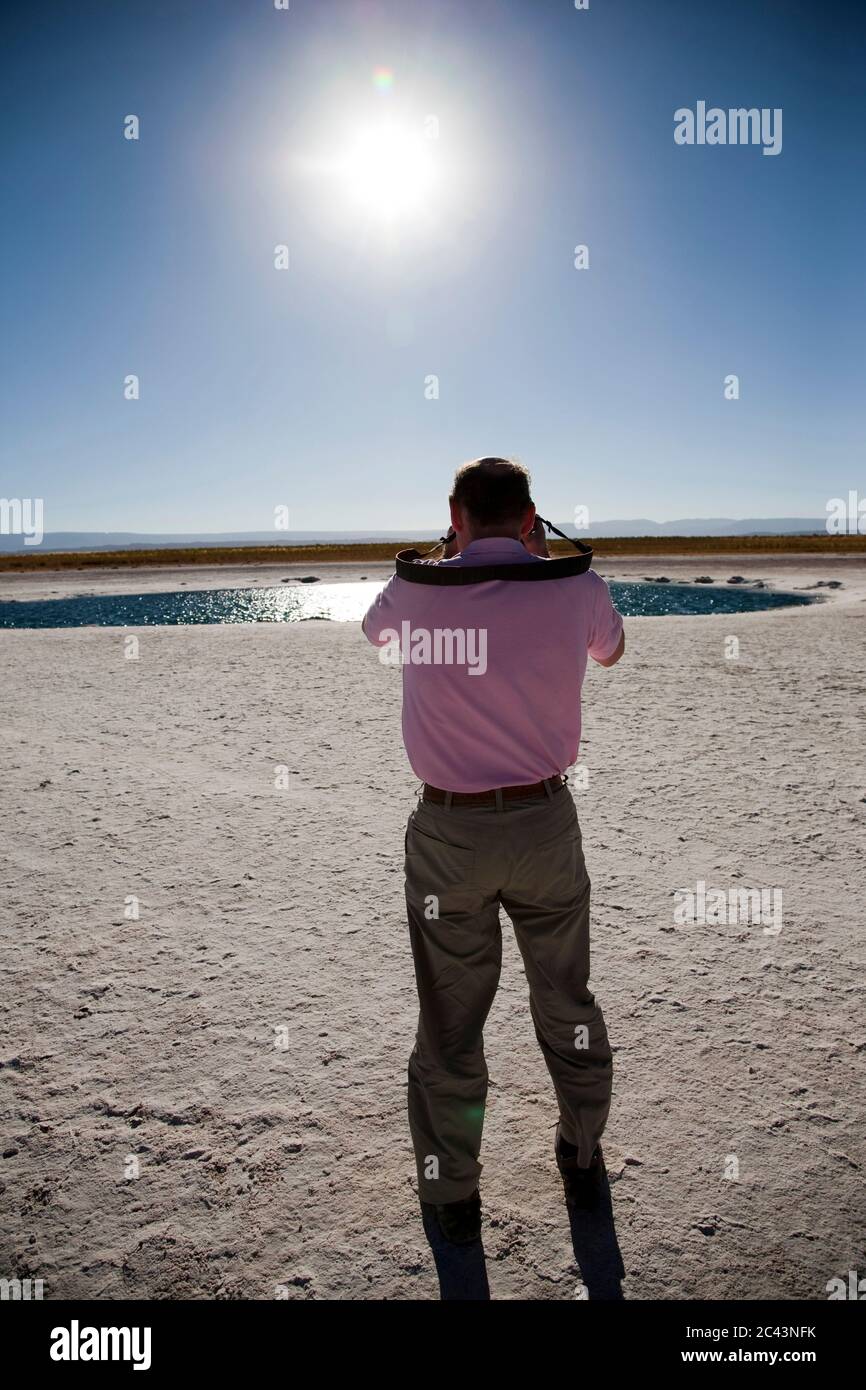 Atacama desert wild life hi-res stock photography and images - Alamy