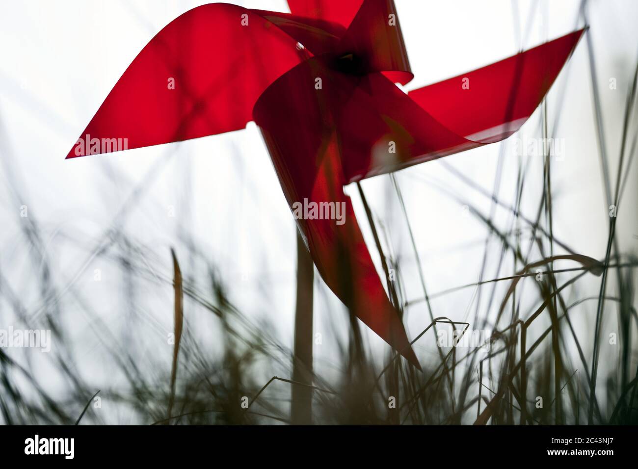 Red pinwheel in a meadow Stock Photo - Alamy