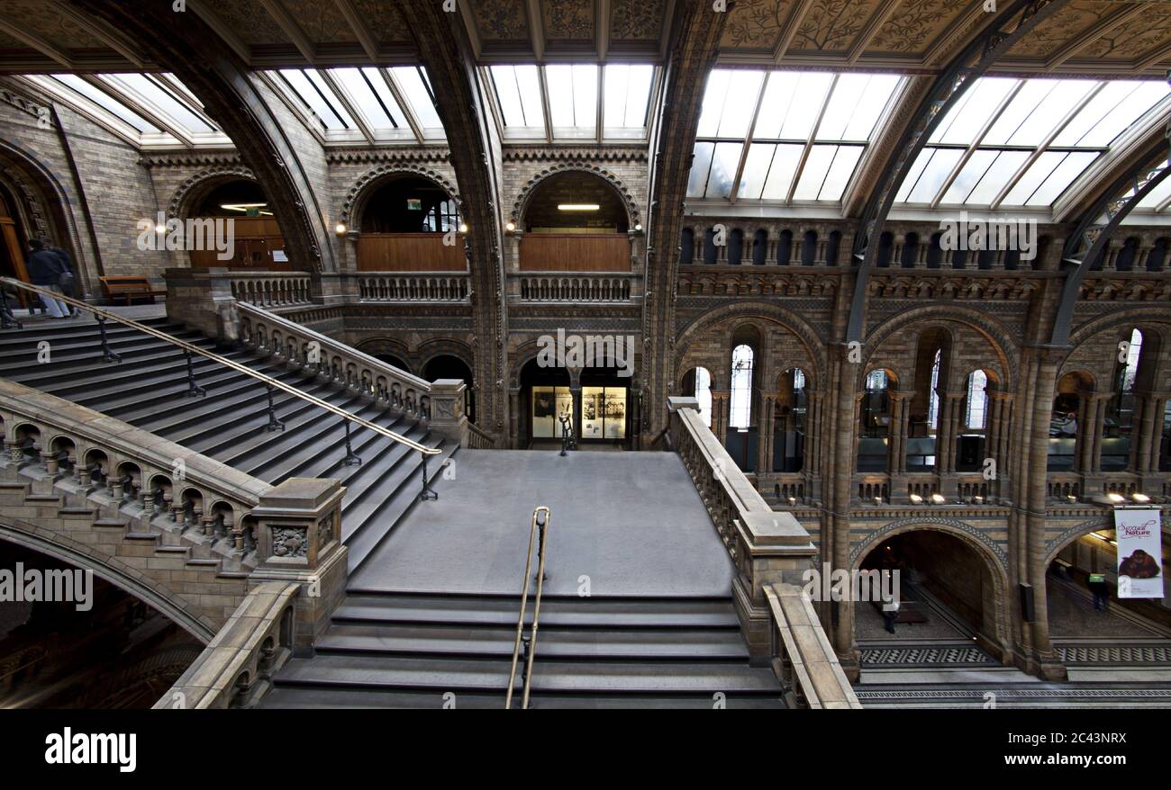 Stairs at the Natural History Museum in London, Great Britain Stock ...