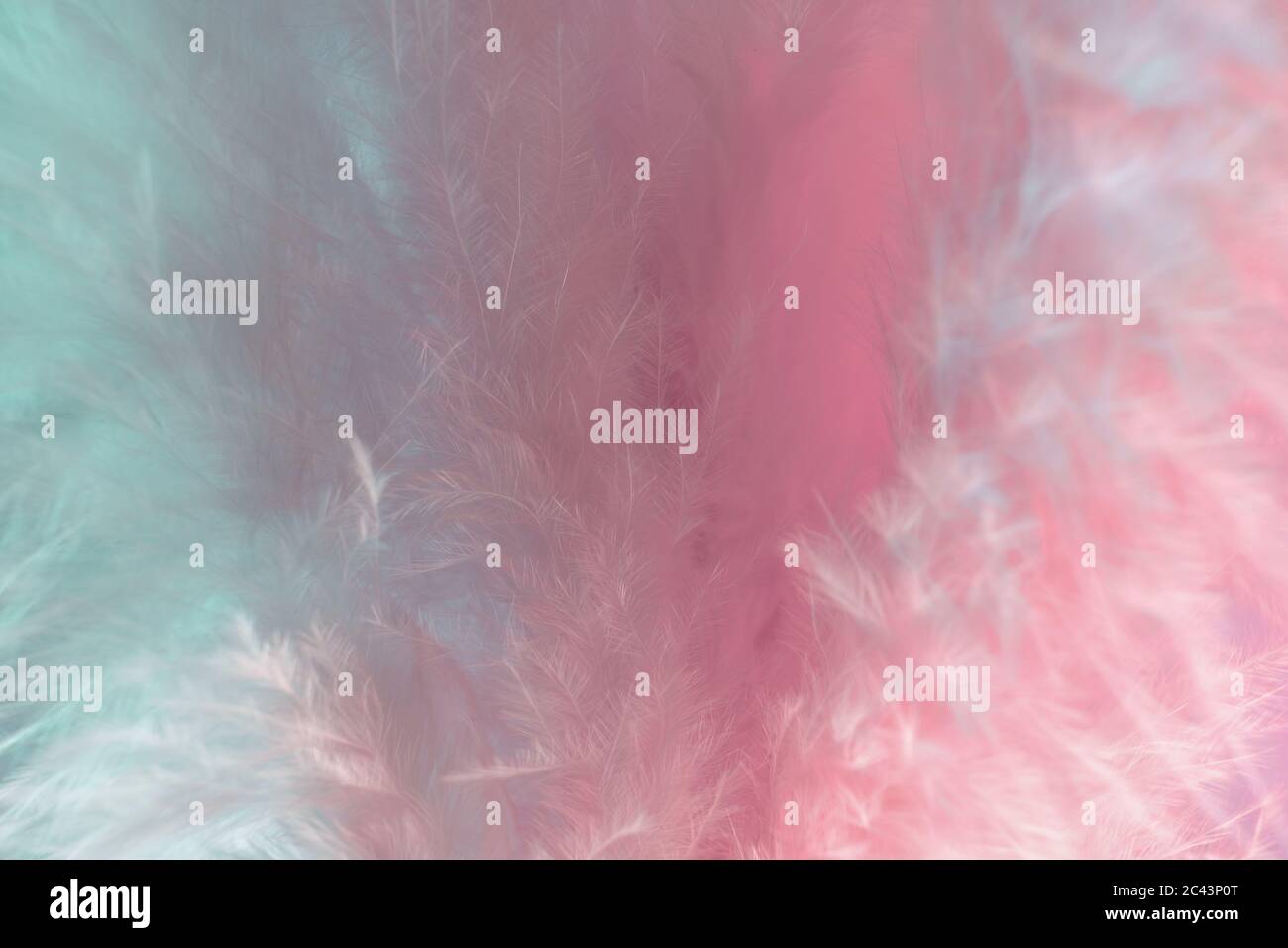 Exotic texture feathers background close up. Soft feathers pattern for ...