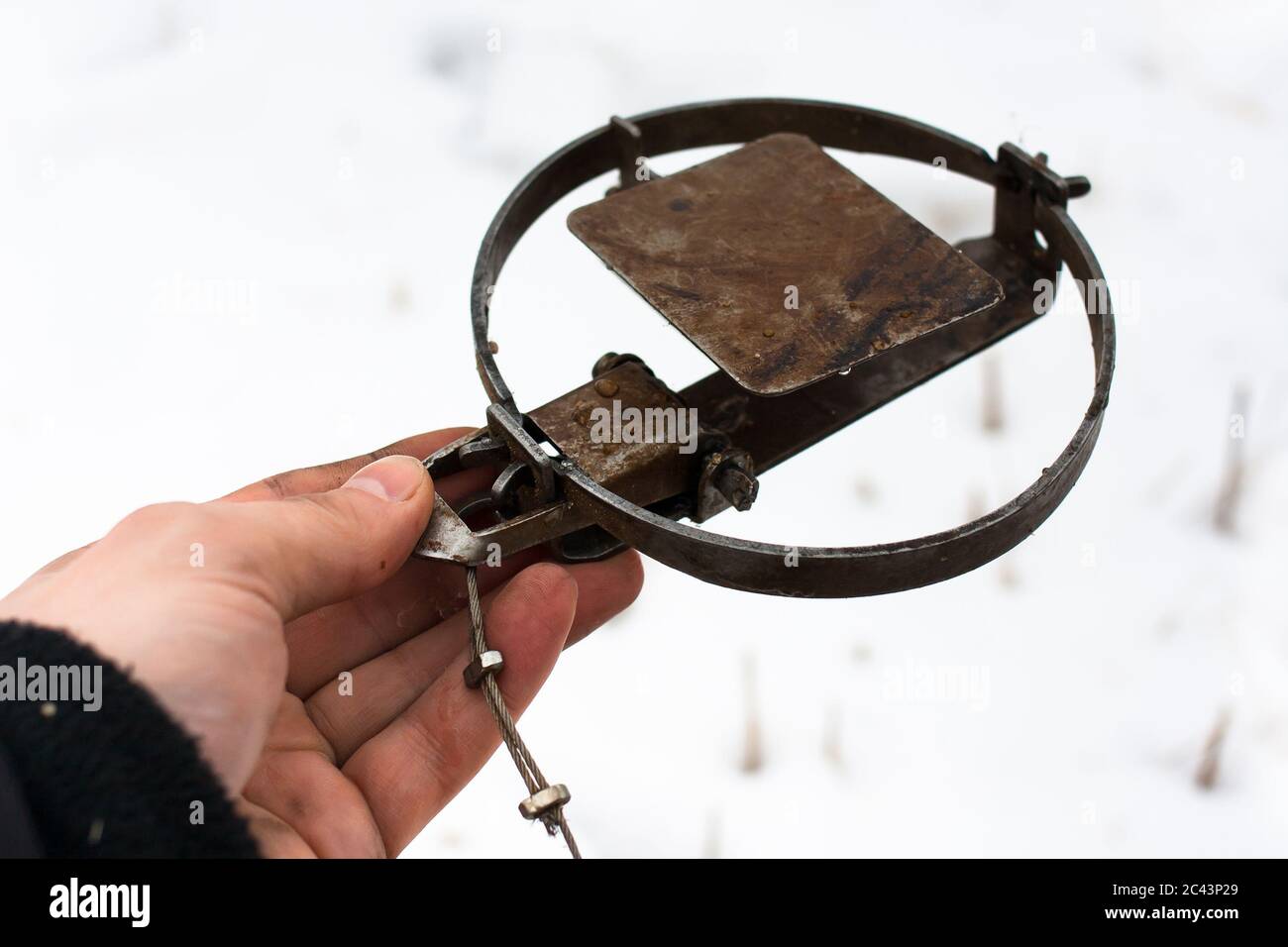 hunting traps in hand, closeup Stock Photo - Alamy