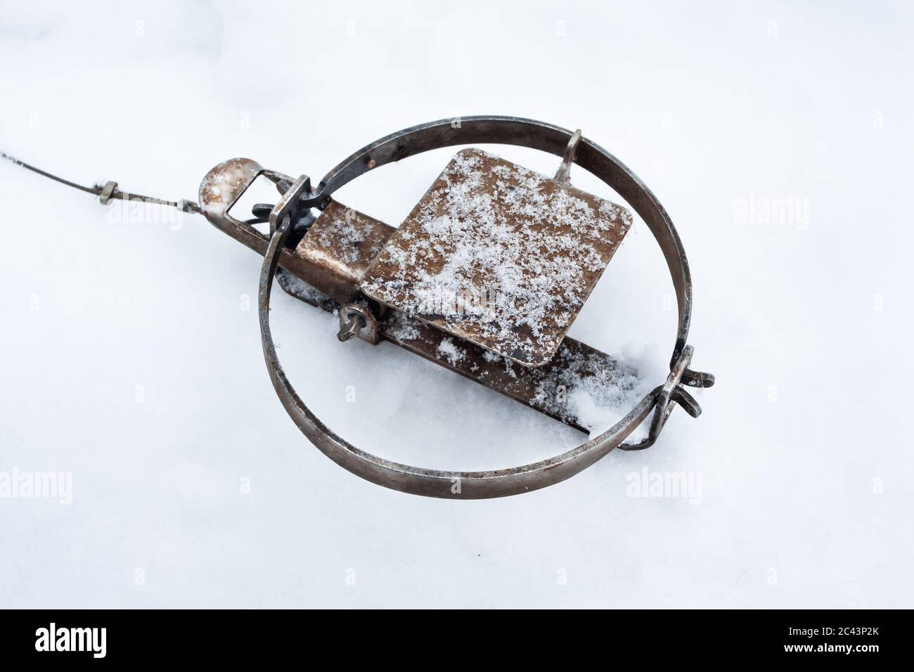 hunting traps on the snow Stock Photo - Alamy