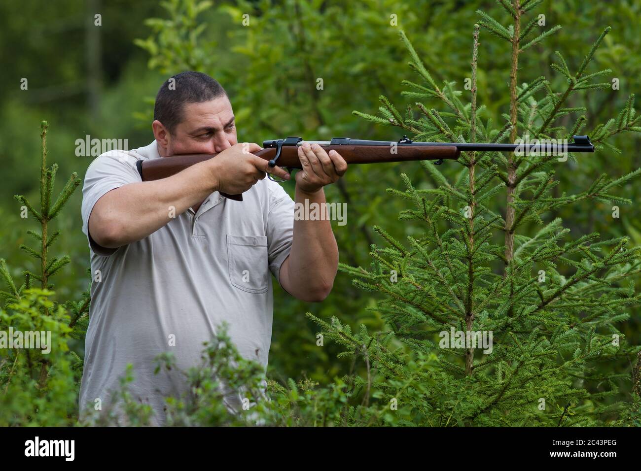 the hunter aiming from a rifle on the hunting Stock Photo - Alamy
