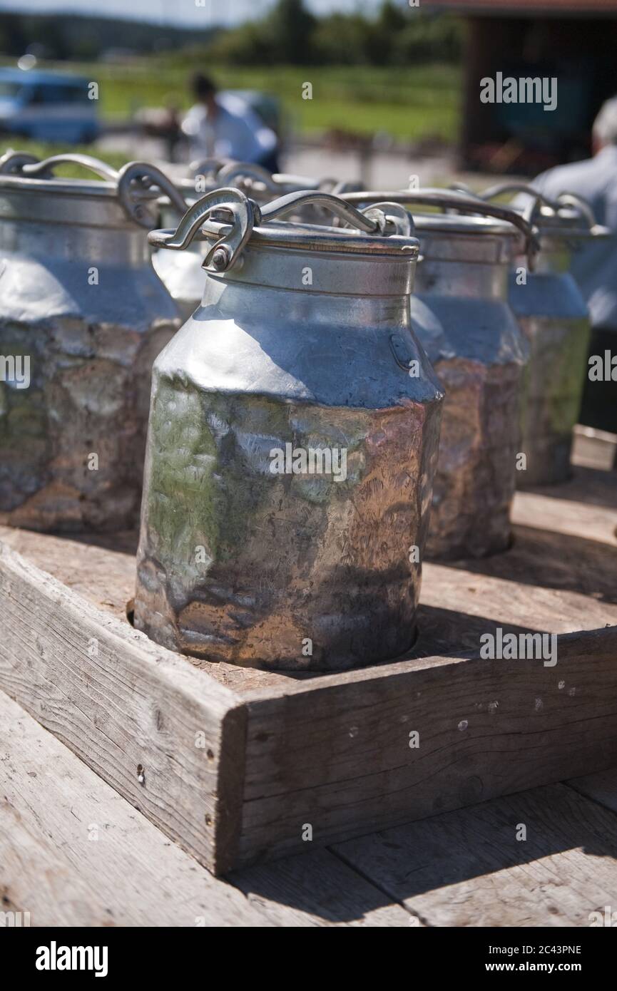 Group of silver milk churns Stock Photo - Alamy