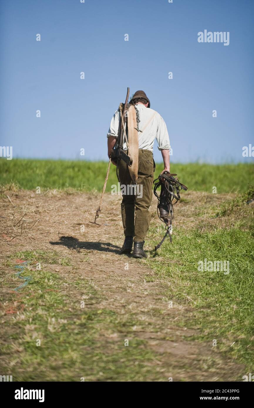 Pulling harness hi-res stock photography and images - Alamy