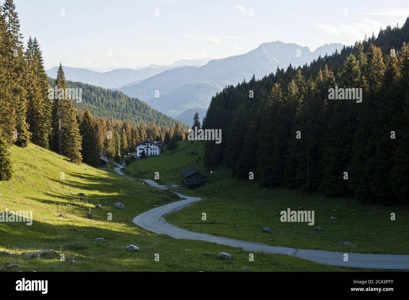 Landscape near Spitzingsee, Bavaria, Germany Stock Photo - Alamy