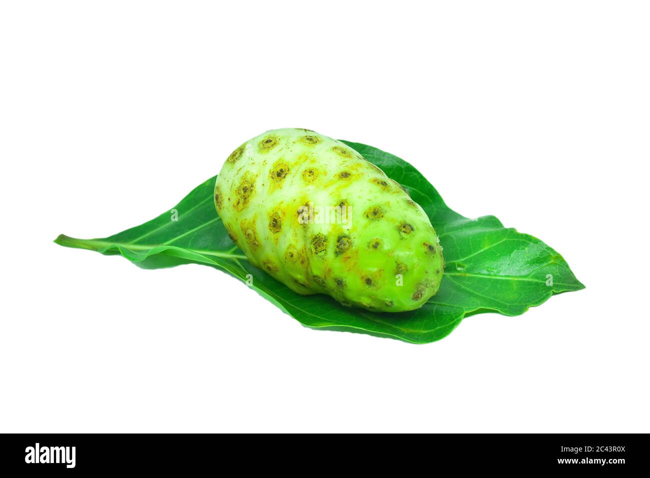 Noni fruit cut Cut Out Stock Images & Pictures - Alamy