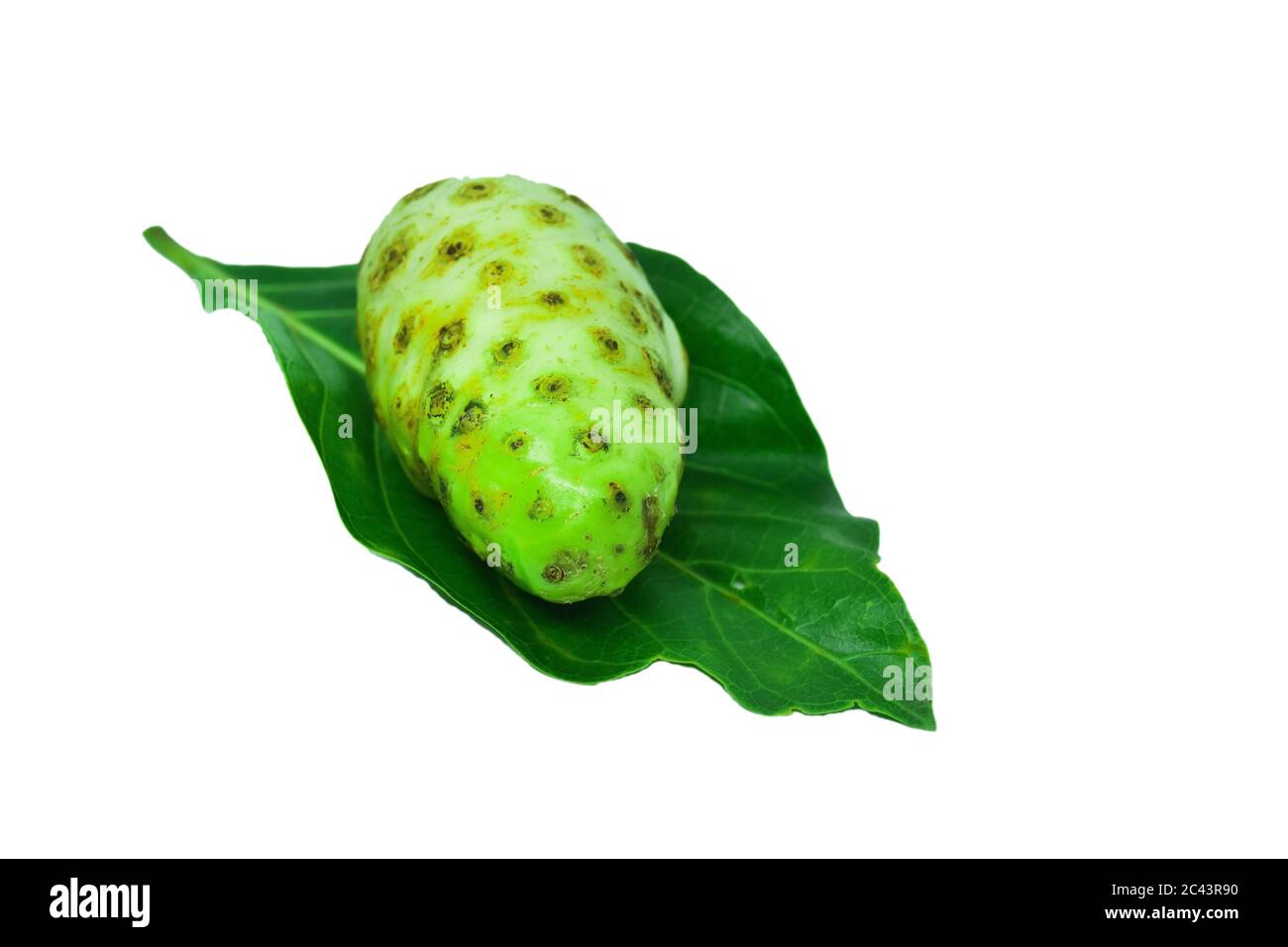 Noni isolated on white with clipping path Stock Photo - Alamy