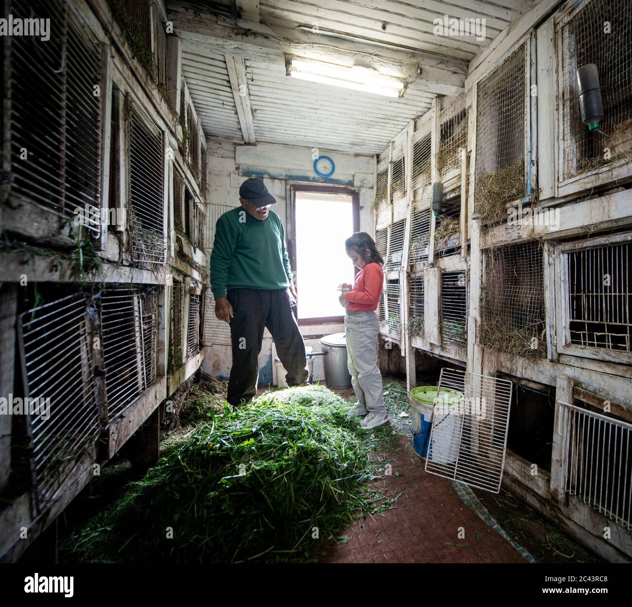 Rabbit hutch indoors hi-res stock photography and images - Alamy