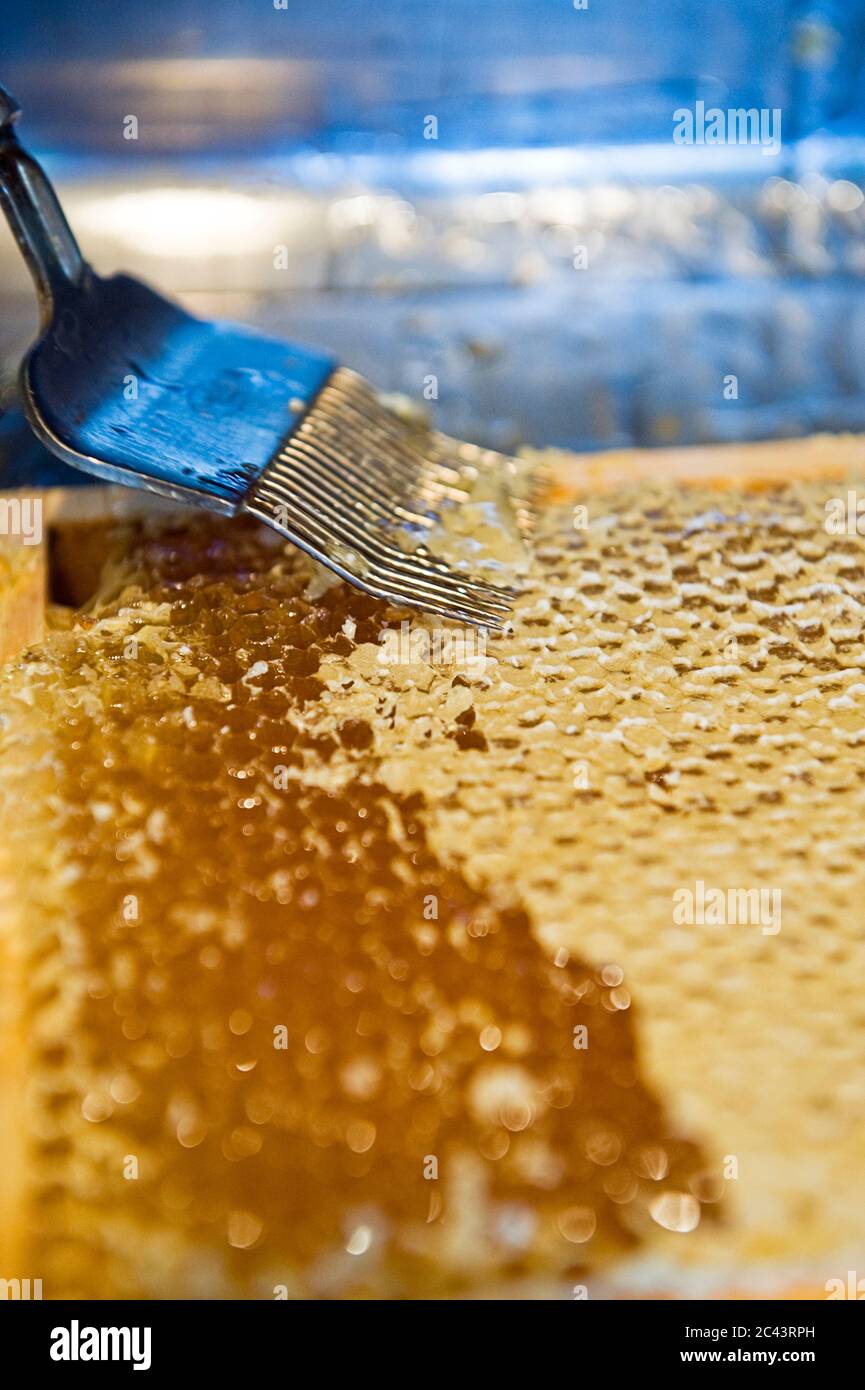 Honey is scratched by a honeycomb Stock Photo - Alamy