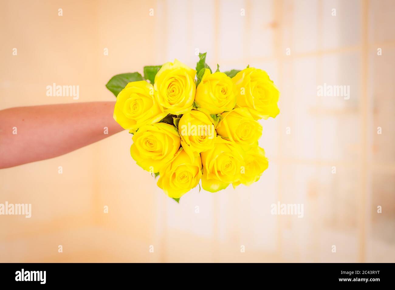 Women hand holding a bouquet of peach Stardust roses variety, studio ...