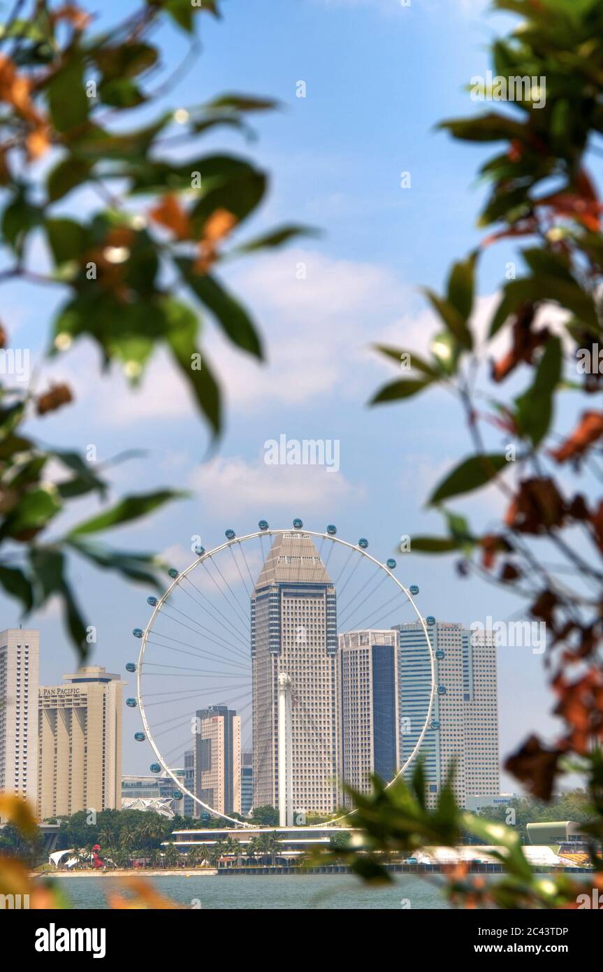 Ferris wheel The Flyer in Singapore Stock Photo - Alamy