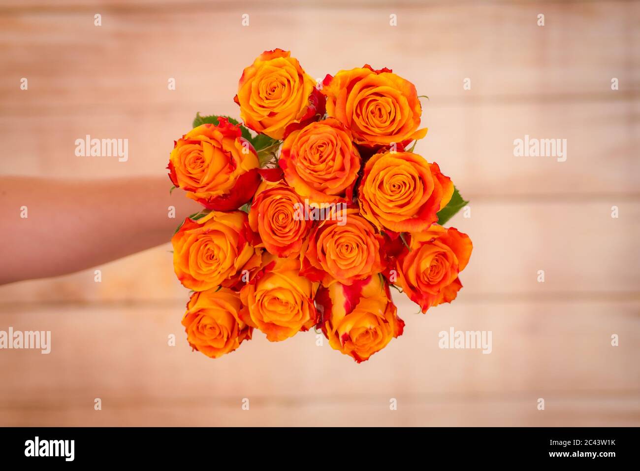 Women hand holding a bouquet of Silantoi roses variety, studio shot ...