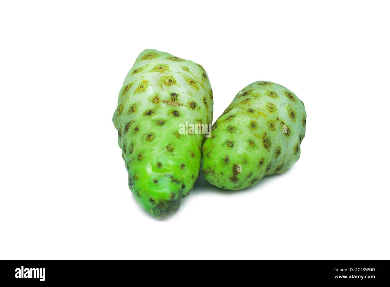 Noni isolated on white with clipping path Stock Photo - Alamy