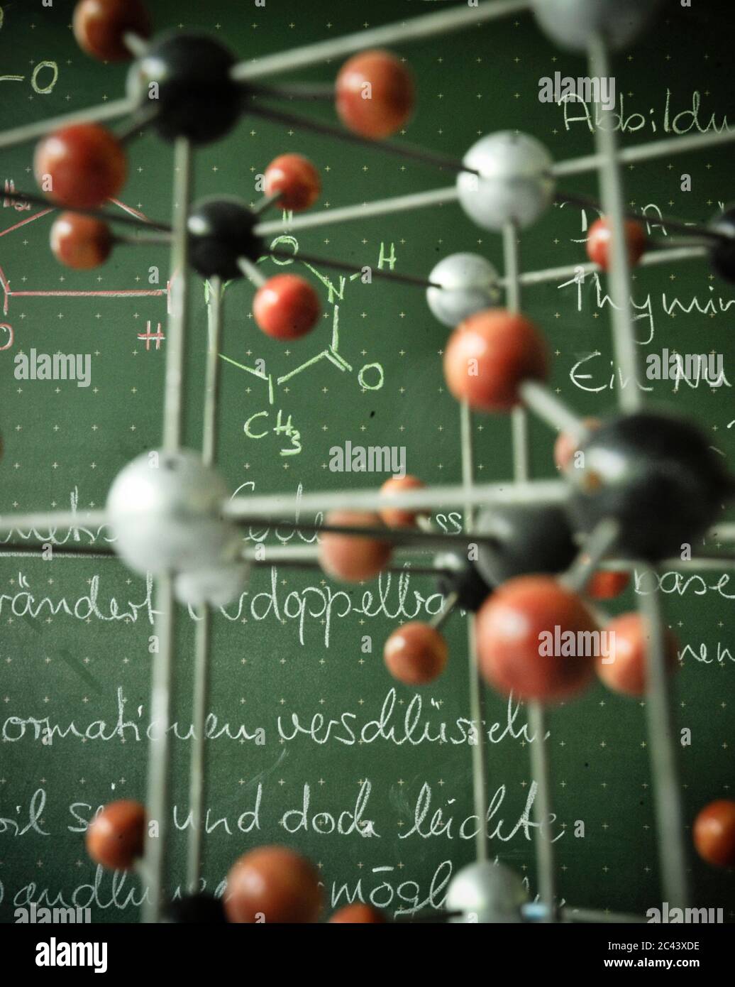 Biochemical model in front of a blackboard Stock Photo - Alamy