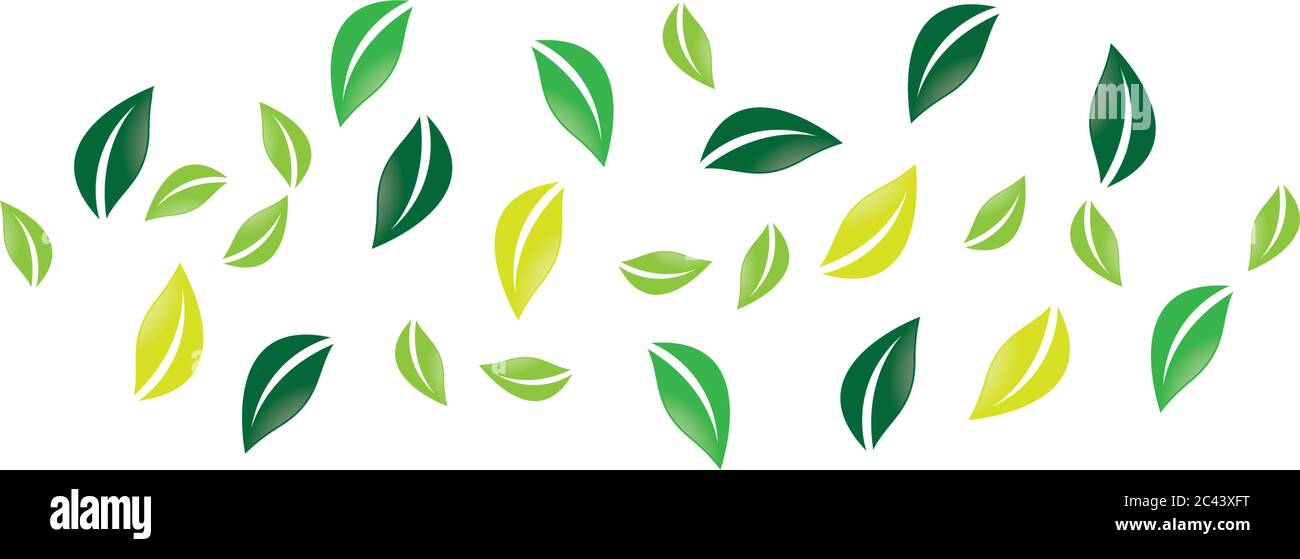 Leaf background symbol vector icon illustration design Stock Vector ...