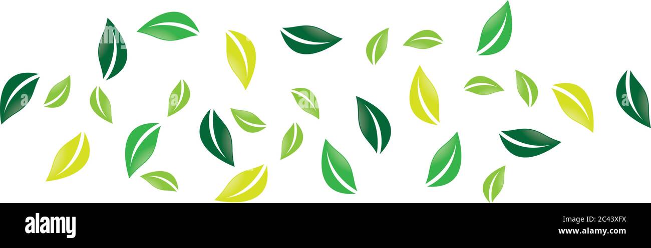 Leaf background symbol vector icon illustration design Stock Vector ...