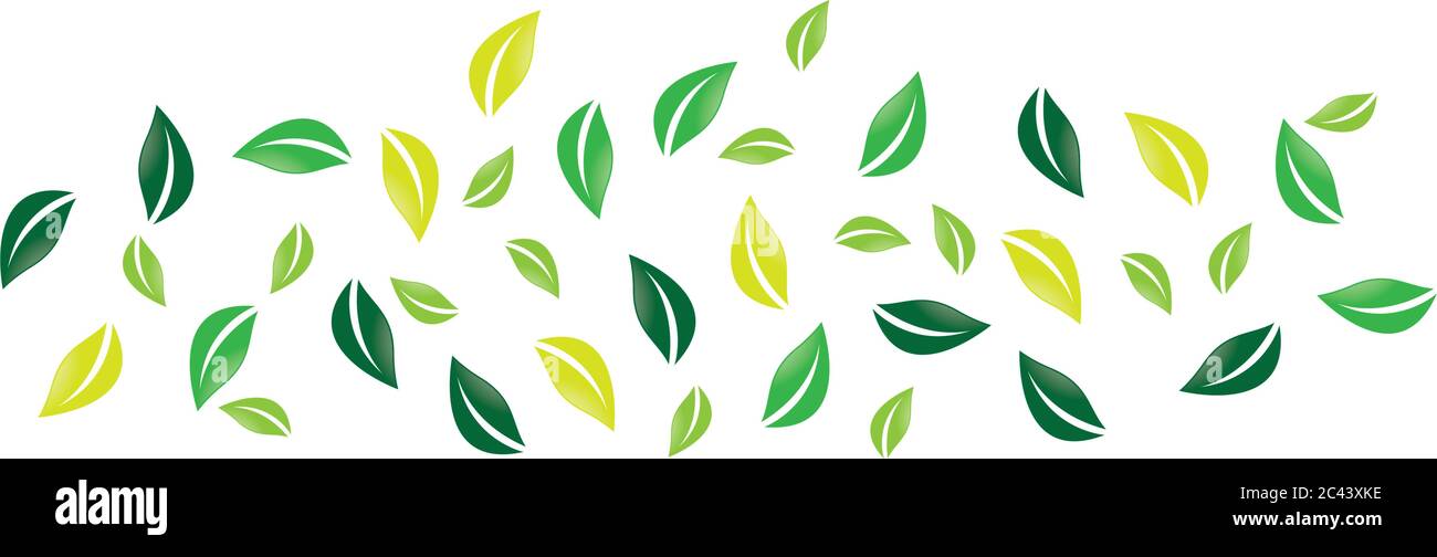 Leaf background symbol vector icon illustration design Stock Vector ...