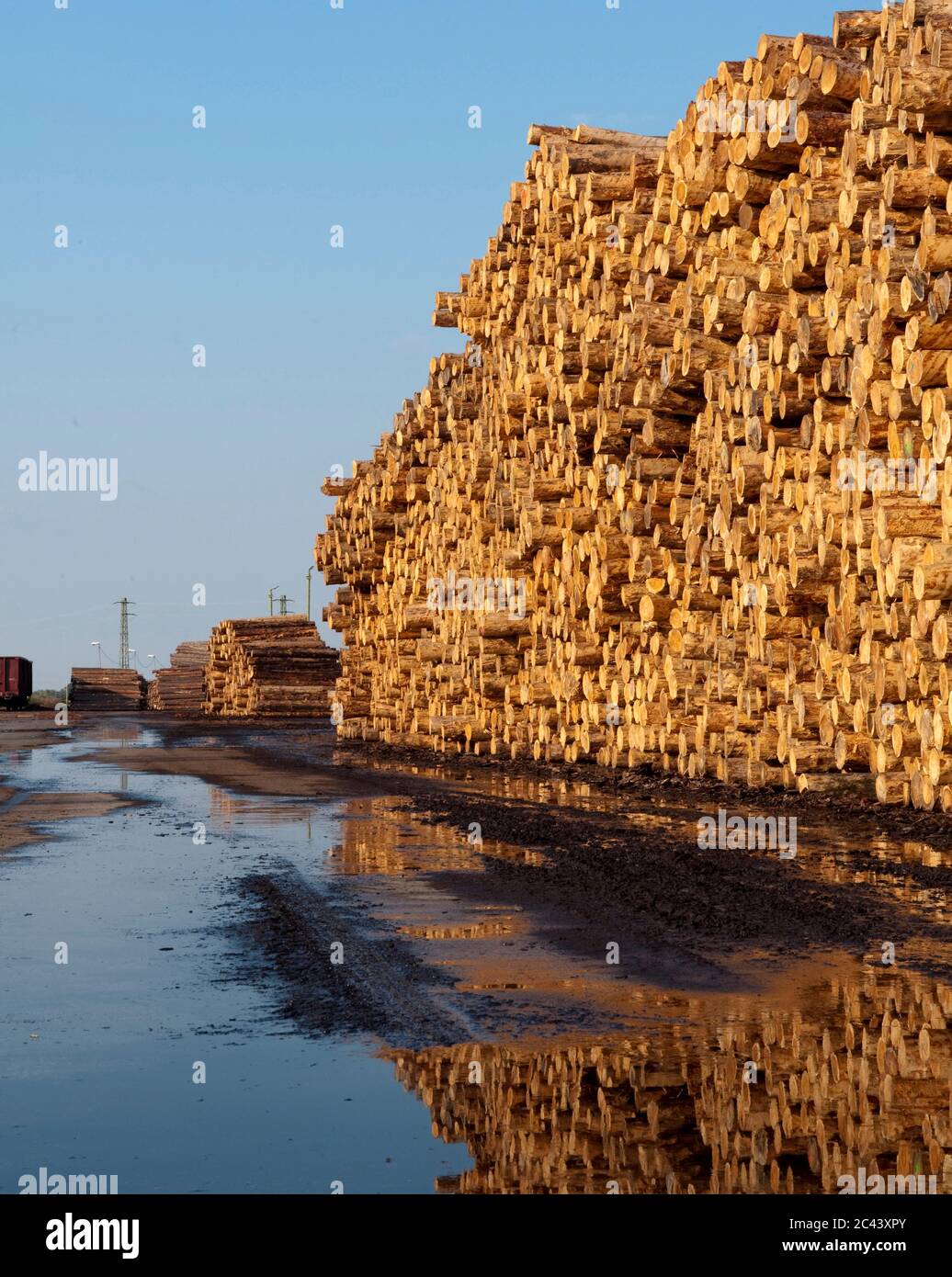 Sawmill environment hi-res stock photography and images - Alamy