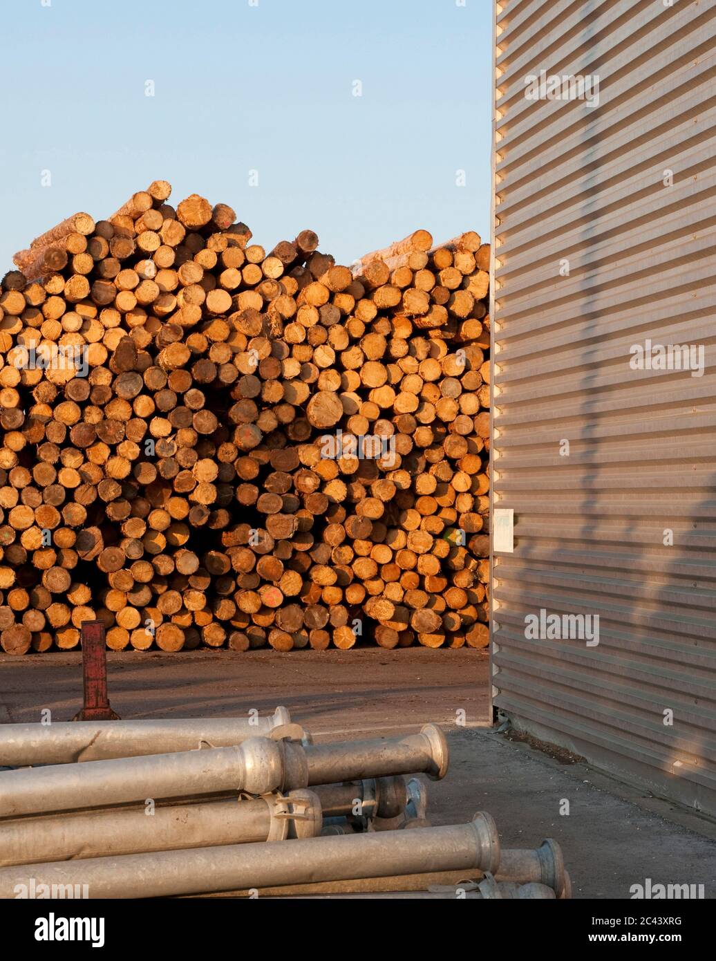 Stack of logs in a sawmill, Sollenau, Austria Stock Photo - Alamy
