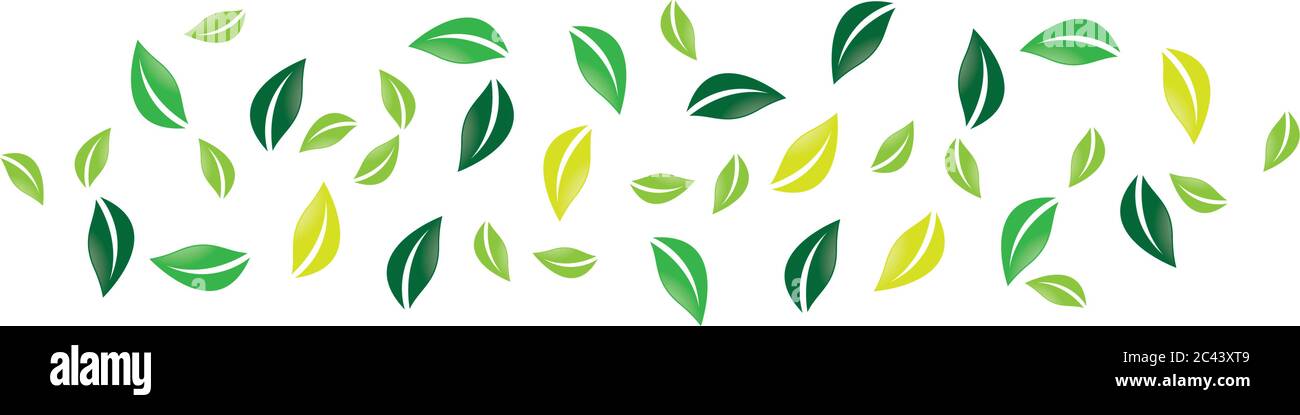 Leave vector background illustration design Stock Vector Image & Art ...