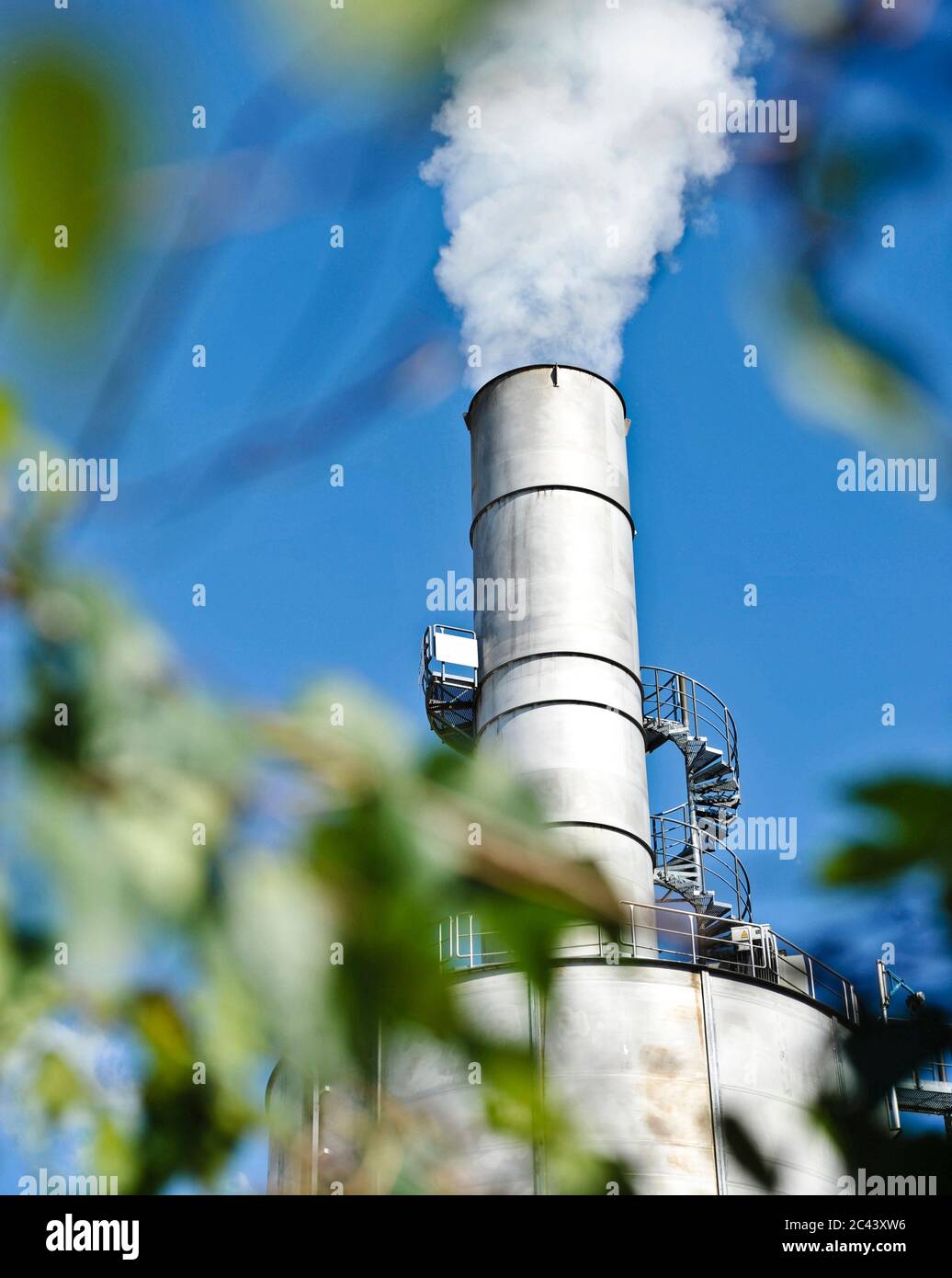 Plant emits hi-res stock photography and images - Alamy