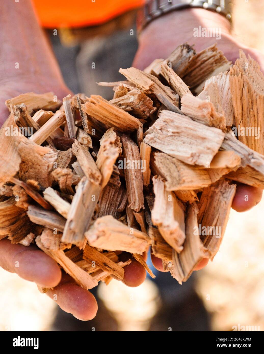 Chipboard Production High Resolution Stock Photography and Images - Alamy