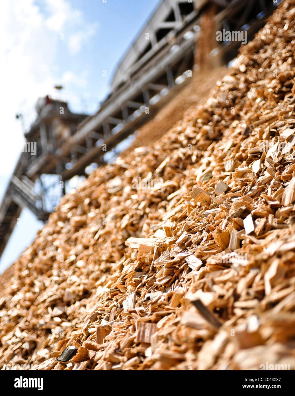 Pile of wood chips in a chipboard plant Stock Photo - Alamy