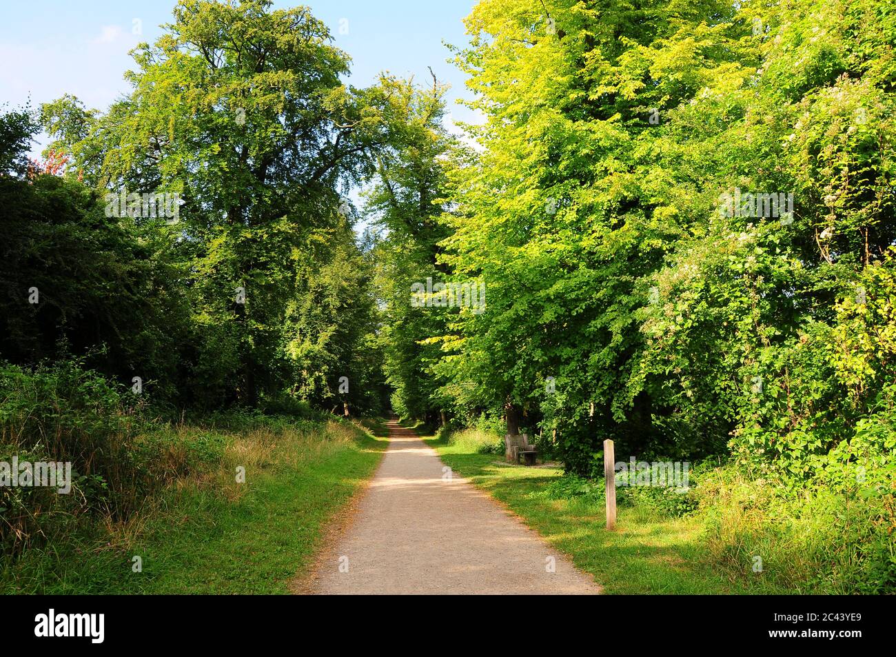 Tring park hertfordshire hi-res stock photography and images - Alamy
