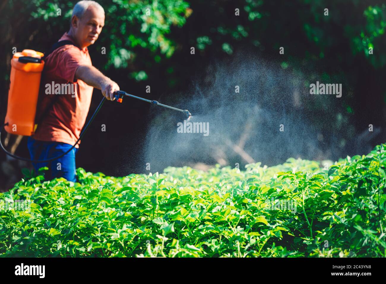 Agriculture farmer spraying fertilizer hi-res stock photography and ...