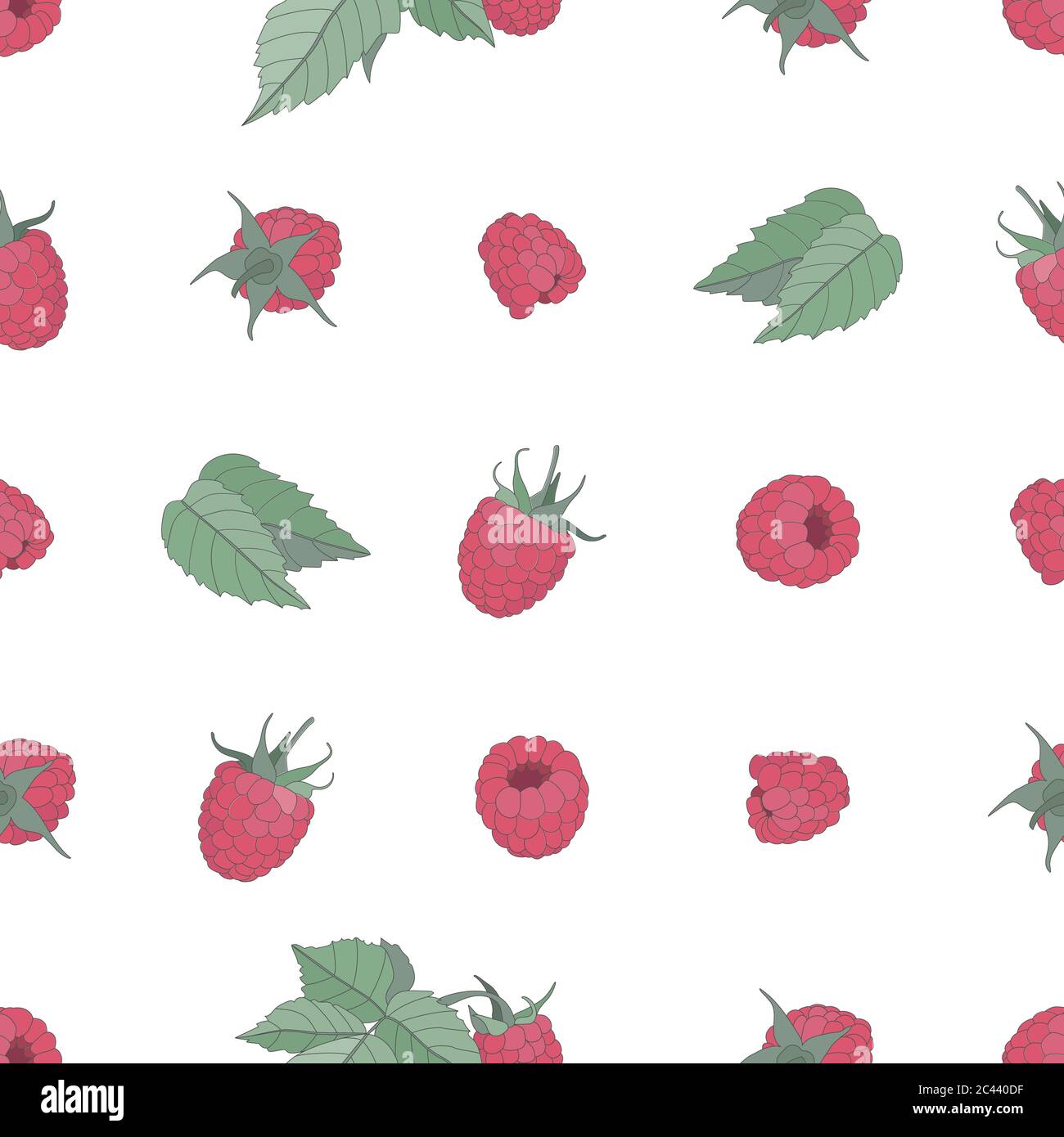 Vector seamless pattern berry concept. Colored raspberry on a white ...