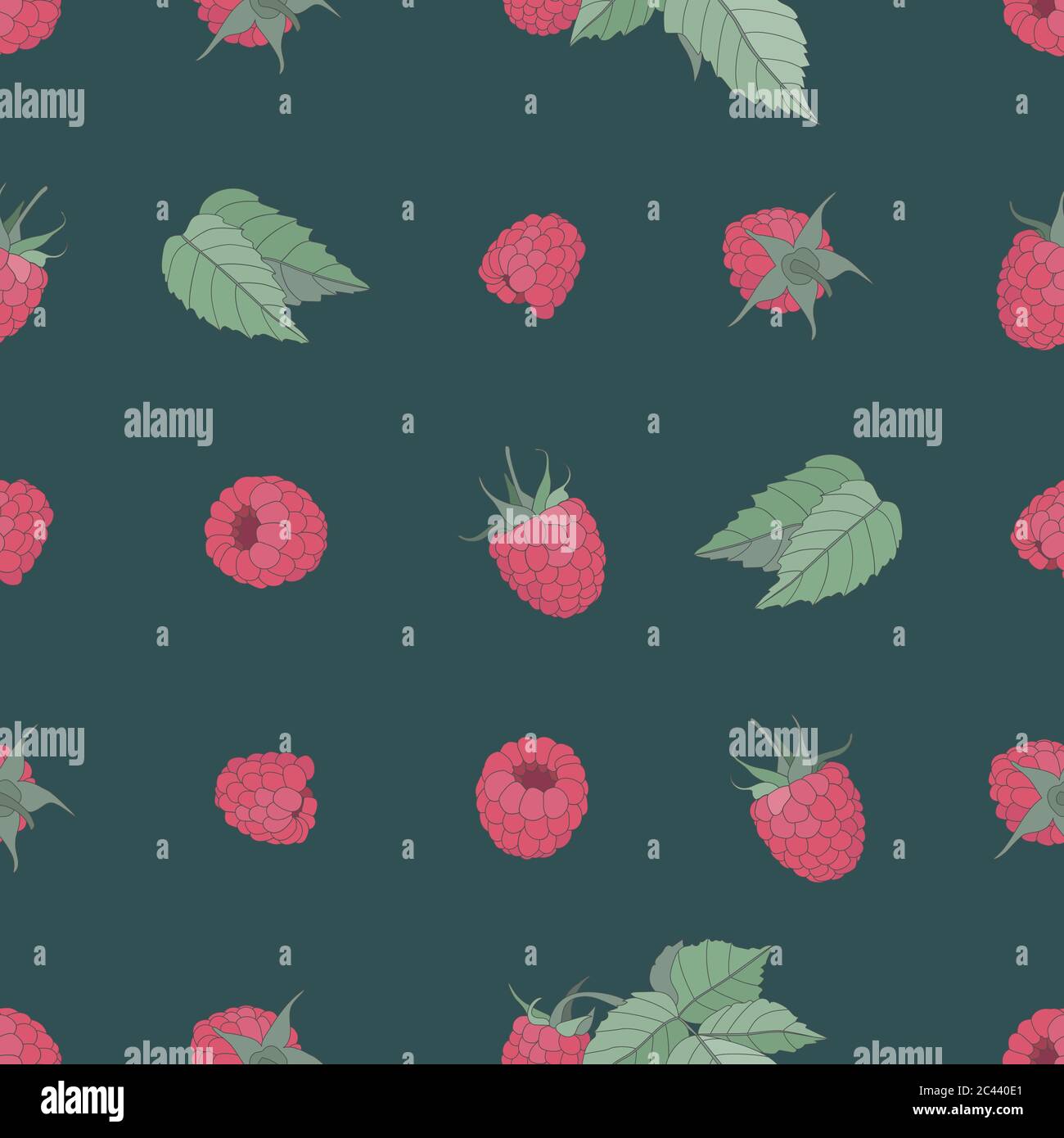 Vector seamless pattern berry concept. Colored raspberry on a black ...