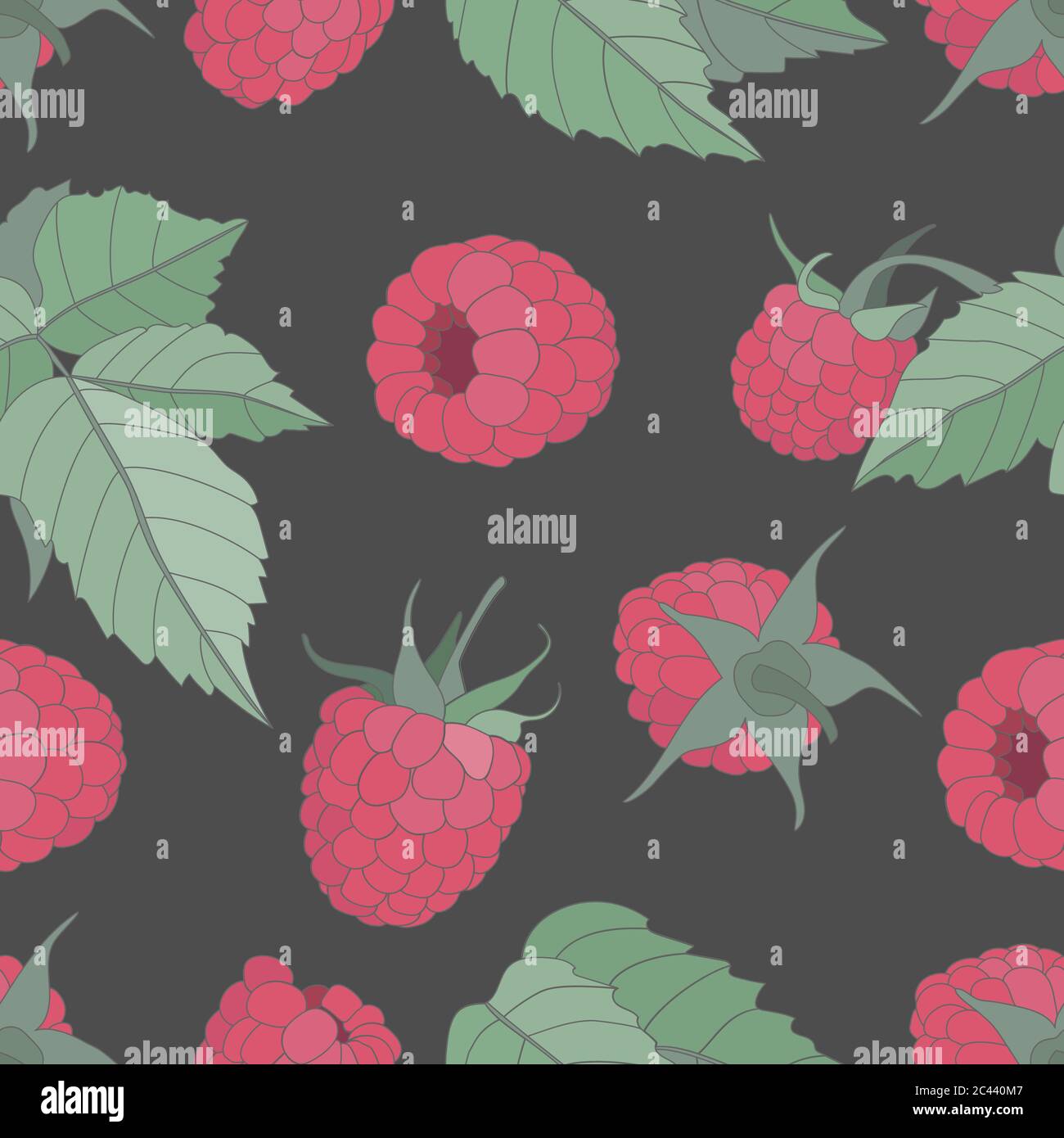 Vector seamless pattern berry concept. Colored raspberry on a black ...