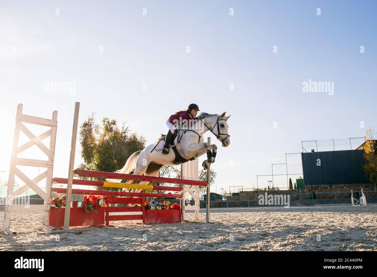 Jockey riding white horse over hurdle on training ground against clear ...
