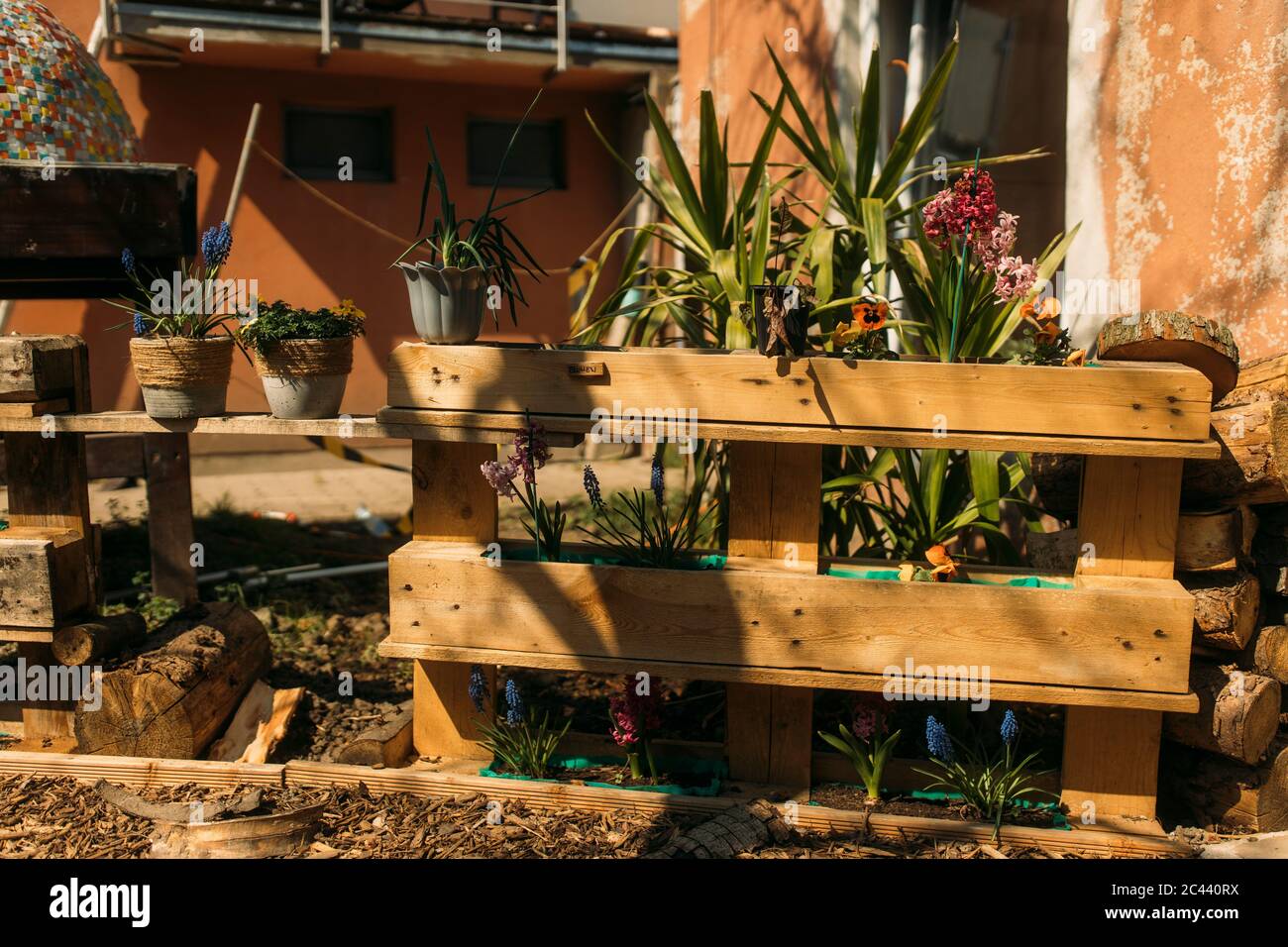 Flower pots in crate at yard Stock Photo - Alamy