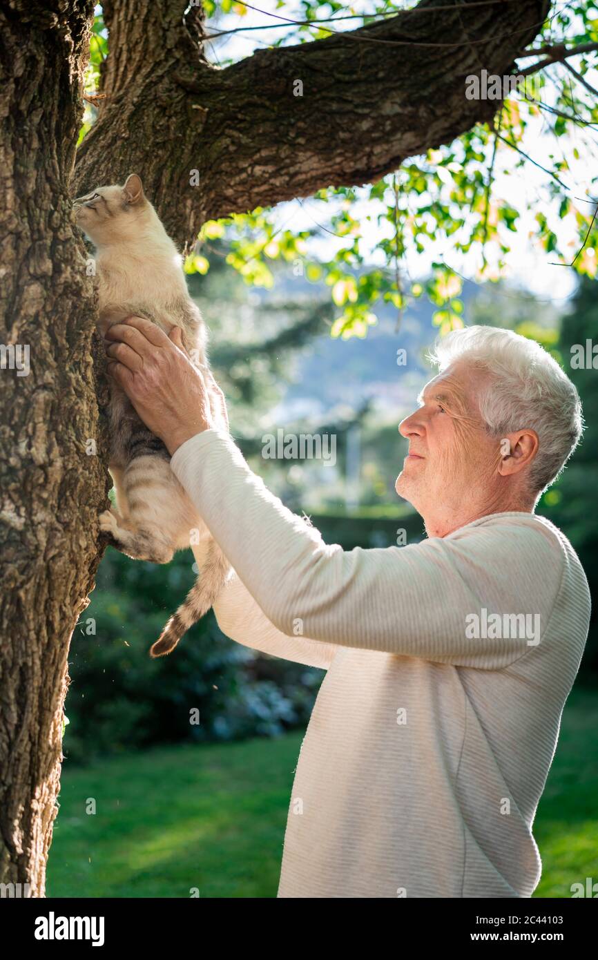 Cat loving a tree hi-res stock photography and images - Alamy