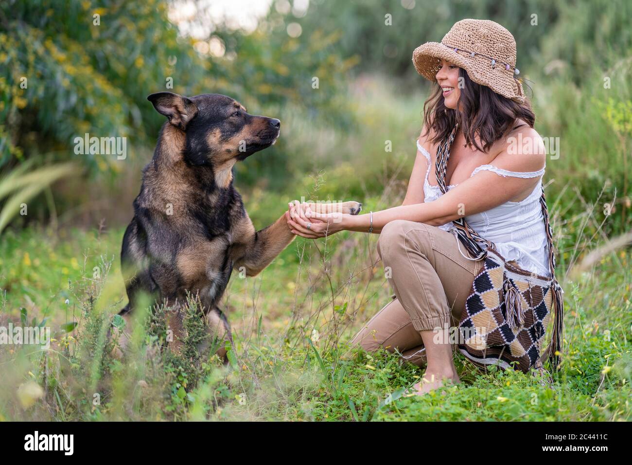 Dog shaking paw beautiful young woman kneeling on plants hi-res stock ...
