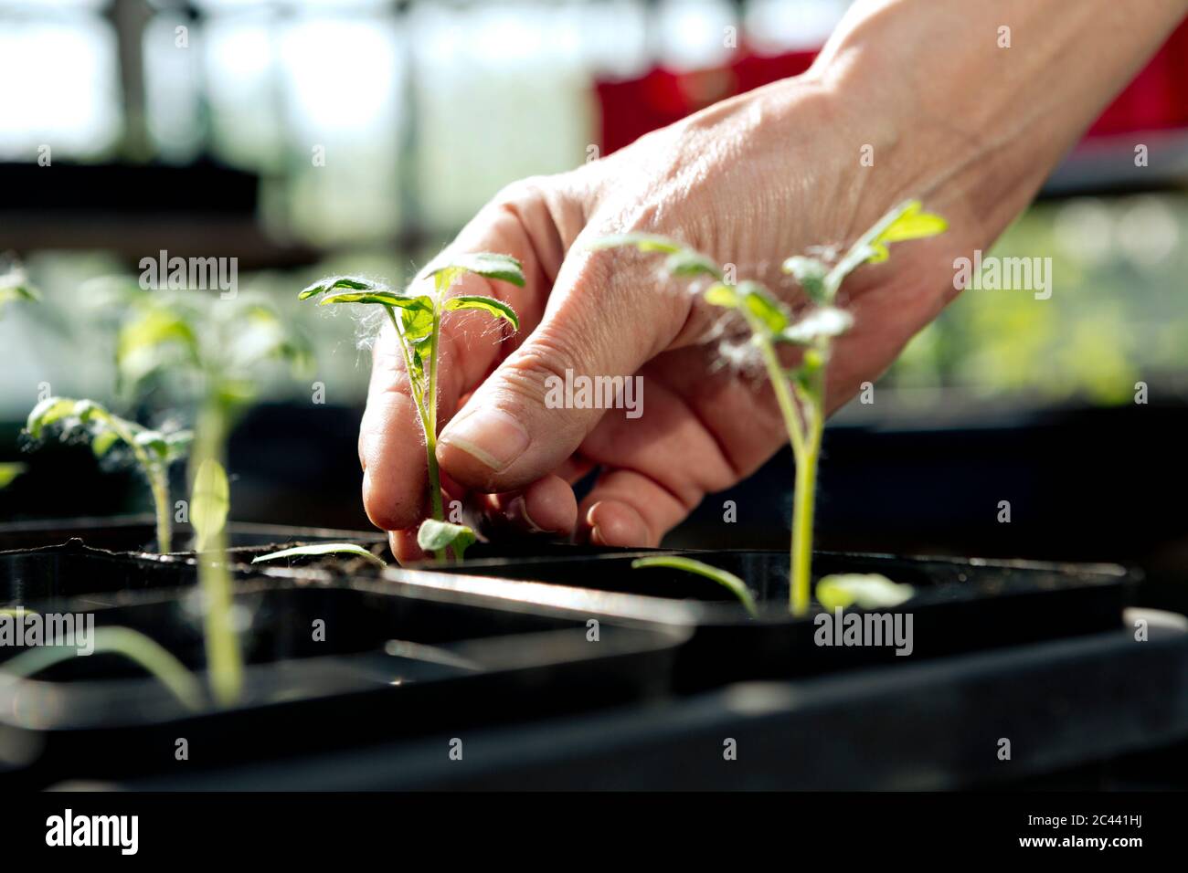 Close up caucasian female touching hi-res stock photography and images ...