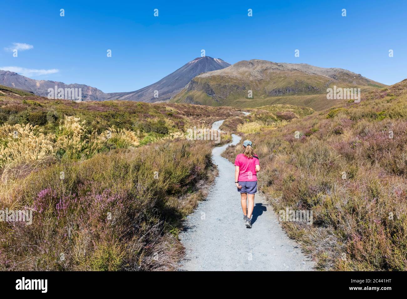 New Zealand, Ruapehu District, Female hiker walking along footpath ...