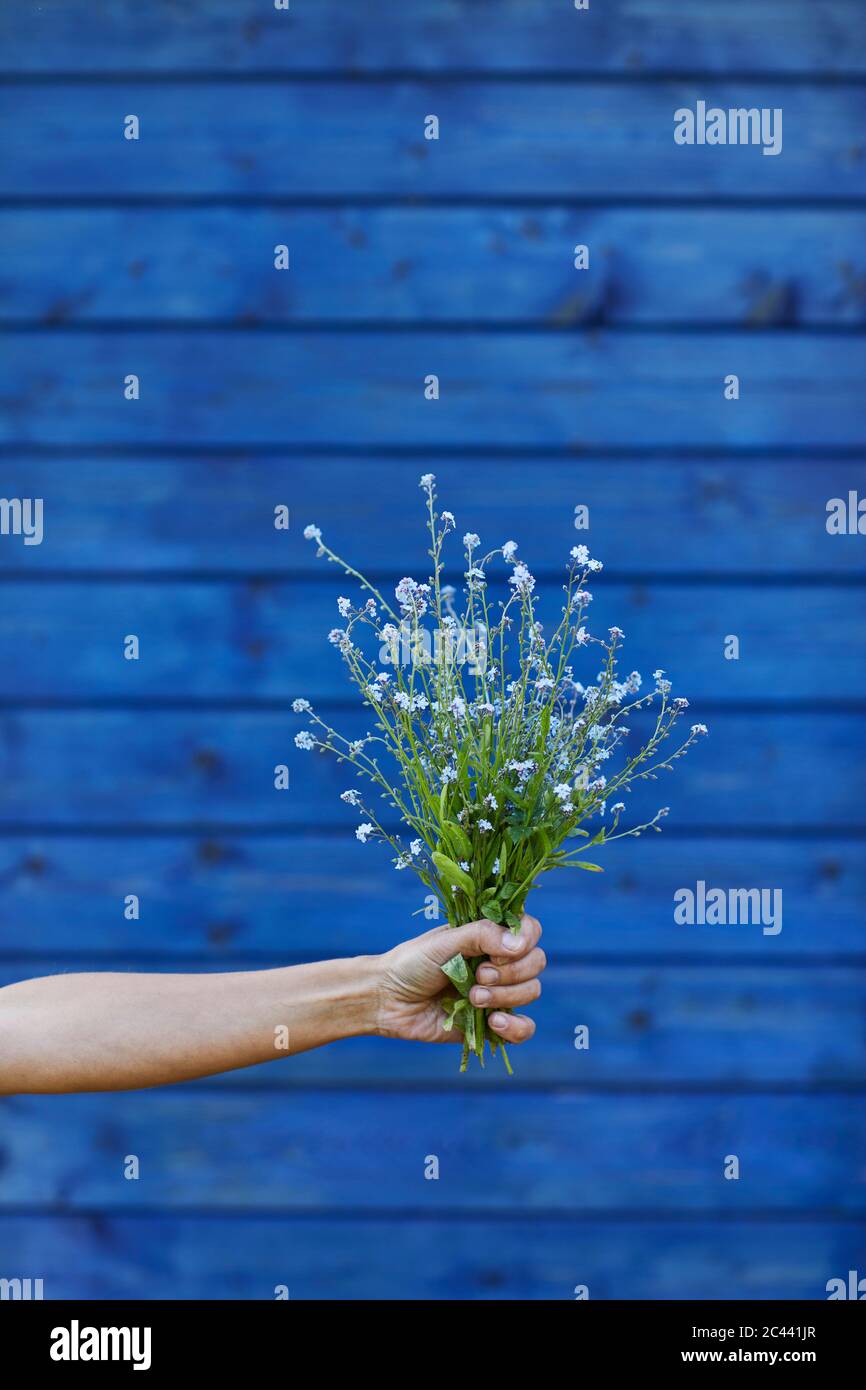 Forget years hi-res stock photography and images - Alamy